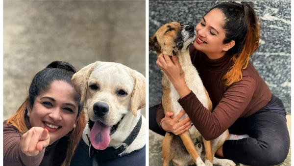 ಬಿಗ್‌ ಬಾಸ್‌ ಮಾಜಿ ಸ್ಪರ್ಧಿಗೆ ಬ್ರೇಕಪ್‌: 5 ವರ್ಷದ ಪ್ರೀತಿಗೆ ಎಳ್ಳು ನೀರು | Bigg ...