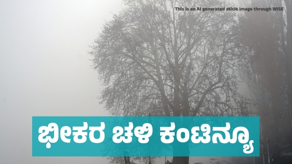 Karnataka Cold Wave: ರಾಜ್ಯದ ಈ ಜಿಲ್ಲೆಗಳಲ್ಲಿ ಮುಂದಿನ ಒಂದು ವಾರ ಭೀಕರ ಚಳಿ ...
