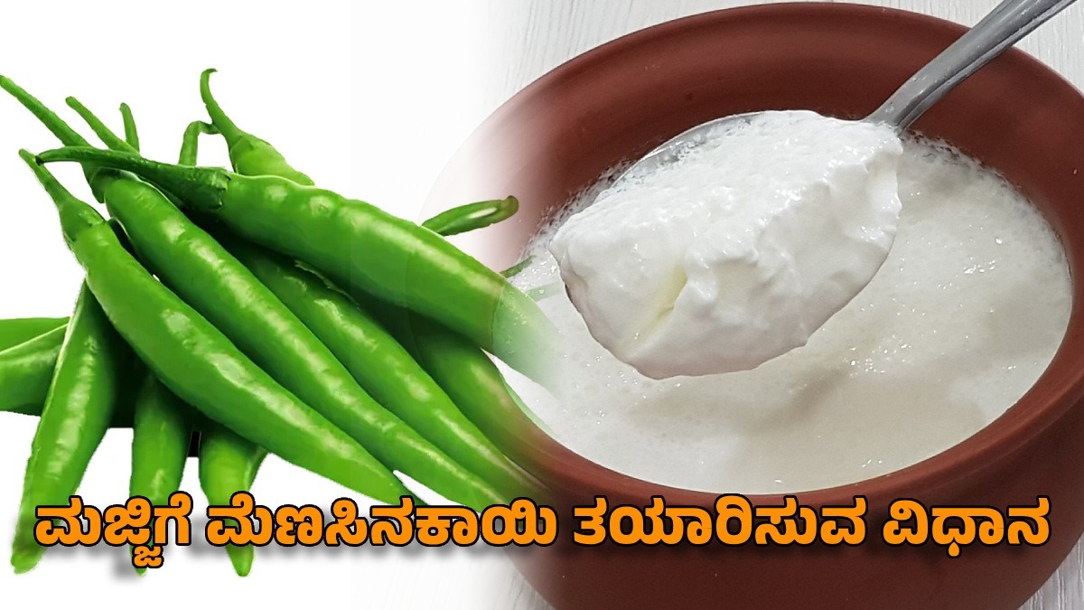 Majjige Menasinakai Recipe: ಮಜ್ಜಿಗೆ ಮೆಣಸಿನಕಾಯಿ ರೆಸಿಪಿ: ತಿಂದರೆ ಖಾರ ...