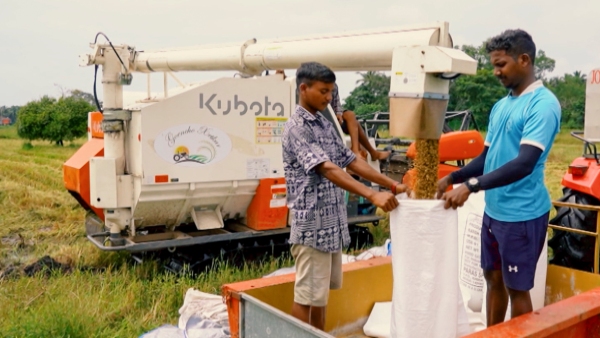 ಕೊಪ್ಪಳ: ಕನಿಷ್ಠ ಬೆಂಬಲ ಬೆಲೆ ಯೋಜನೆ, ಭತ್ತ ಖರೀದಿ ಕೇಂದ್ರ ಆರಂಭ | MSP For Paddy Procurement Centre Open ...