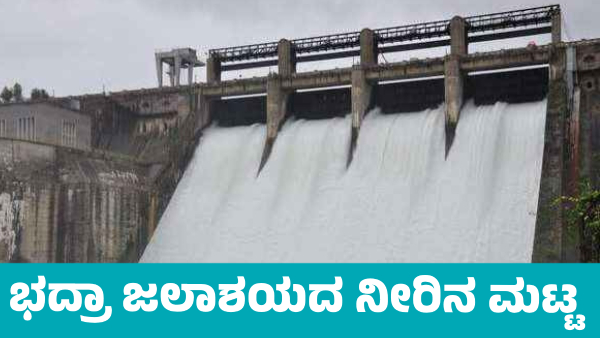 Bhadra Dam: ಜೂನ್‌ 5 ಭದ್ರಾ ಜಲಾಶಯದ ನೀರಿನ ಮಟ್ಟ ಎಷ್ಟಿದೆ? | Bhadra Dam water ...