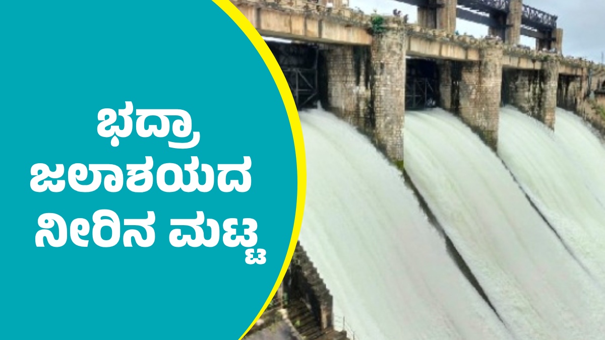 Bhadra Dam: ಜೂನ್‌ 5 ಭದ್ರಾ ಜಲಾಶಯದ ನೀರಿನ ಮಟ್ಟ ಎಷ್ಟಿದೆ? | Bhadra Dam water ...