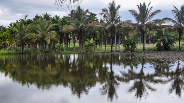 ಭೂಪರಿವರ್ತಿತ ಜಮೀನುಗಳಲ್ಲಿ ಬಡಾವಣೆ: ಸರ್ಕಾರದಿಂದ ಆಸ್ತಿದಾರರಿಗೆ ಭರ್ಜರಿ ಗುಡ್ ...