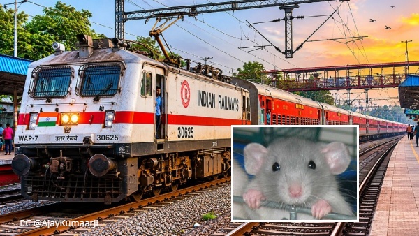 Viral: ಎಸಿ ಬೋಗಿಯಲ್ಲಿ ಇಲಿ ಕಾಟ: ದೂರು ನಿರ್ಲಕ್ಷಿಸಿದ ರೈಲ್ವೆ ಇಲಾಖೆಗೆ 15000 ರೂ ...