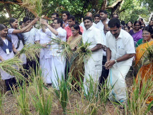 Minister KP Mohanan inaugurated Koythu Fest at Medical College School ...