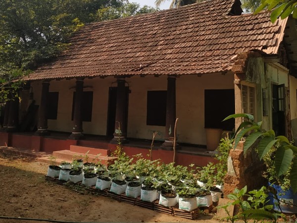 True story behind Mampazham poem by Vailoppilli Sreedhara Menon ...