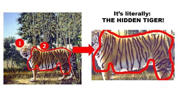 Optical illusion image that hides a tiger in a tiger pic goes viral ...