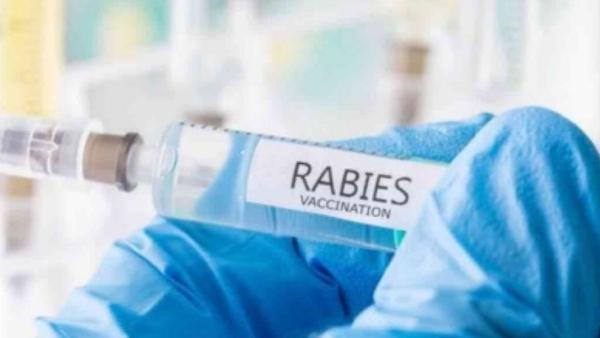 Rabies vaccination clinic opened in kozhikode beach hospital ...