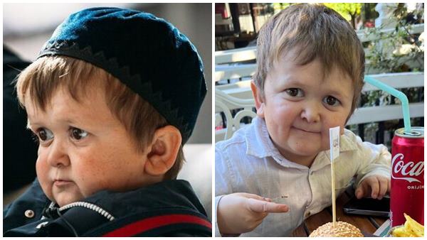 Hasbulla magomedov who look like a kid challenges mma fighters goes ...