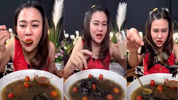 Viral Video: Thai woman YouTuber held And 5 years in prison for ...