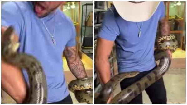 Anaconda bites man in hands several times, video goes viral - Malayalam ...