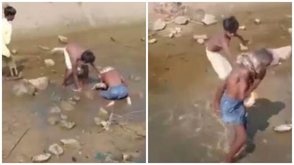 An old man from jharkhand wraps python around his neck, his son rescue ...