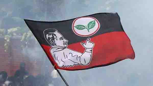 Chennai: AIADMK worker dies after hundred feet length flagpole fell ...