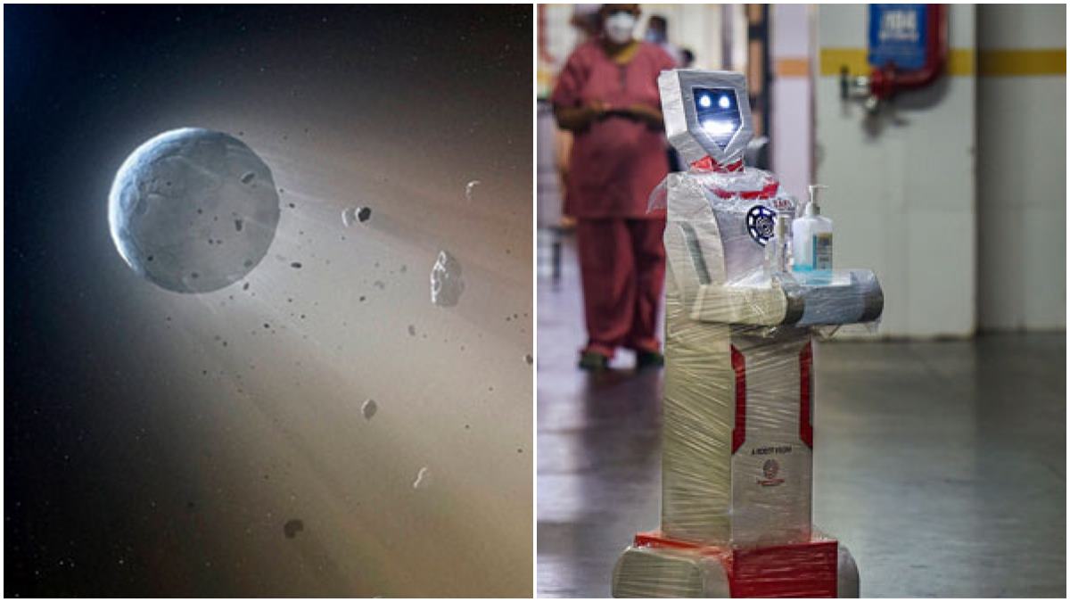 Baba vanga like mystic predicts humans go extinct in earth after rise ...