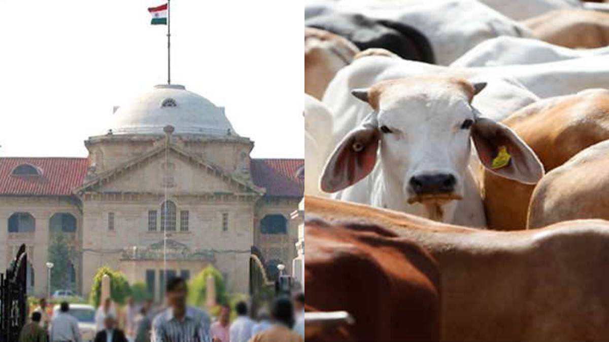 'Those who kill cows will rot in hell'; Allahabad High Court want ...