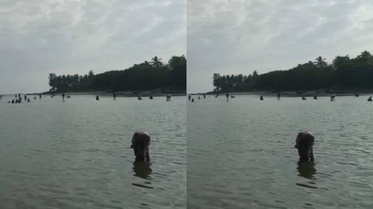 Police have warned those who go down to to collect Elambakka Chakara at ...