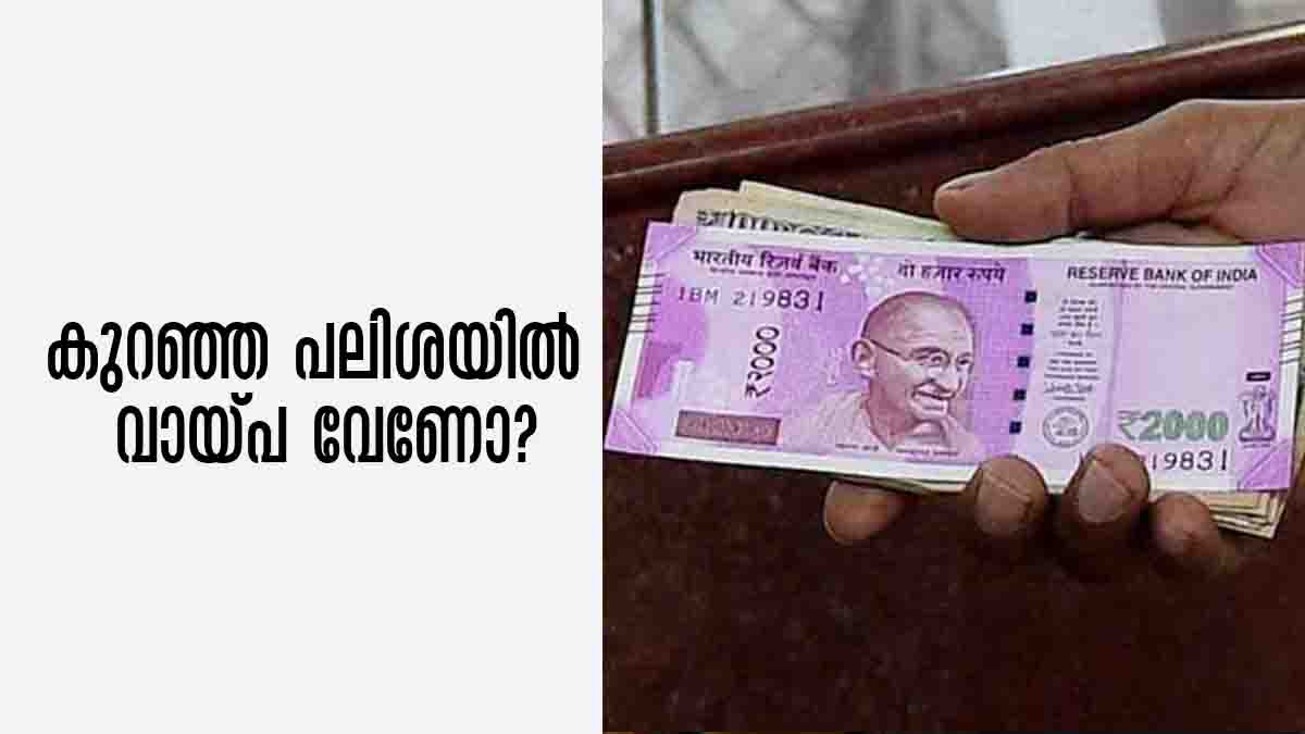 Here is all you need to know about Kerala State Women's Development Corporation's loan scheme ...