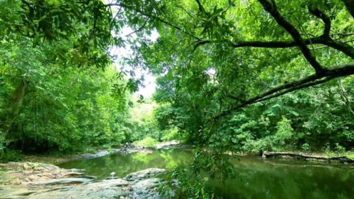 relaxation of buffer zone ruling; The Supreme Court removed the complete restrictions ...