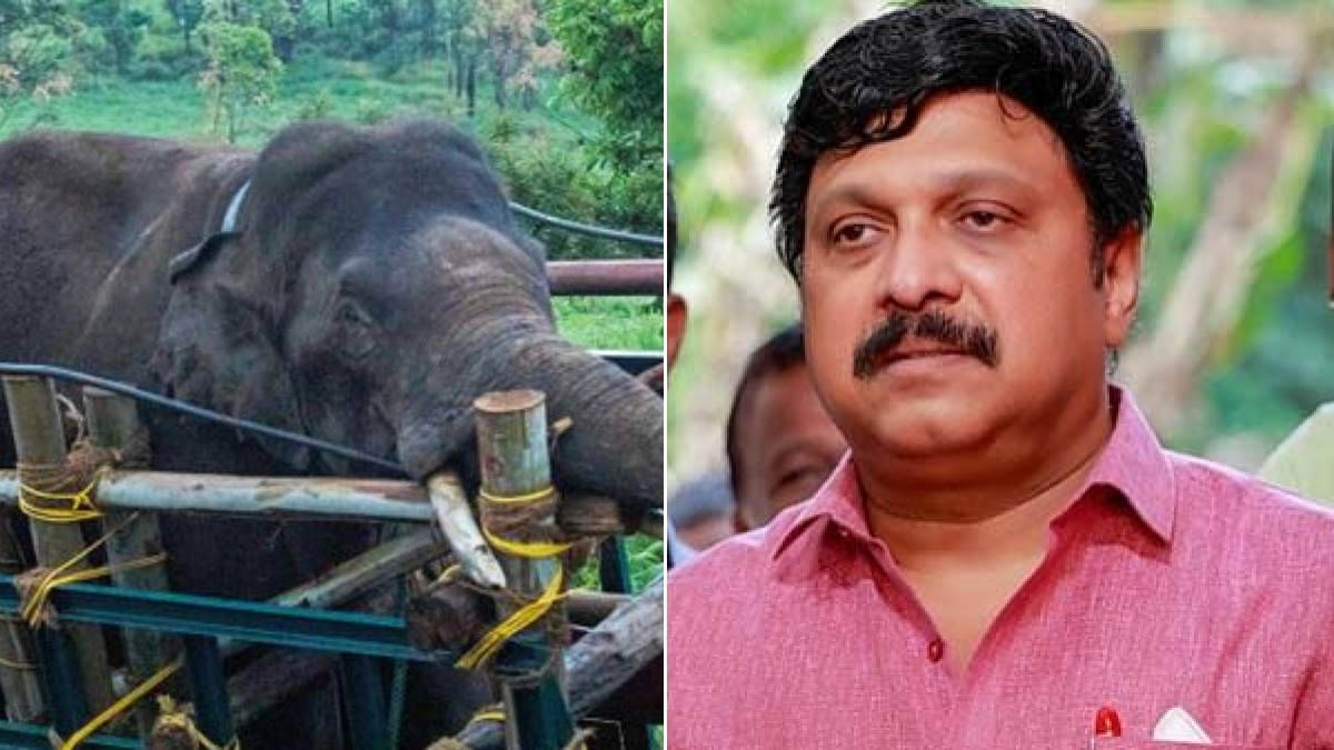 KB Ganesh Kumar MLA says elephant lovers will be responsible if ...