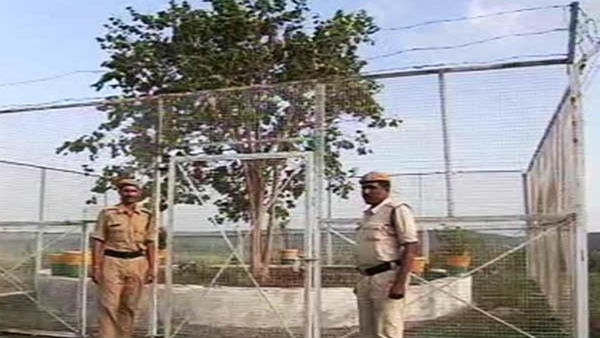 Things to know about VVIP tree in Madhya Pradesh which Spends 12 lakhs ...