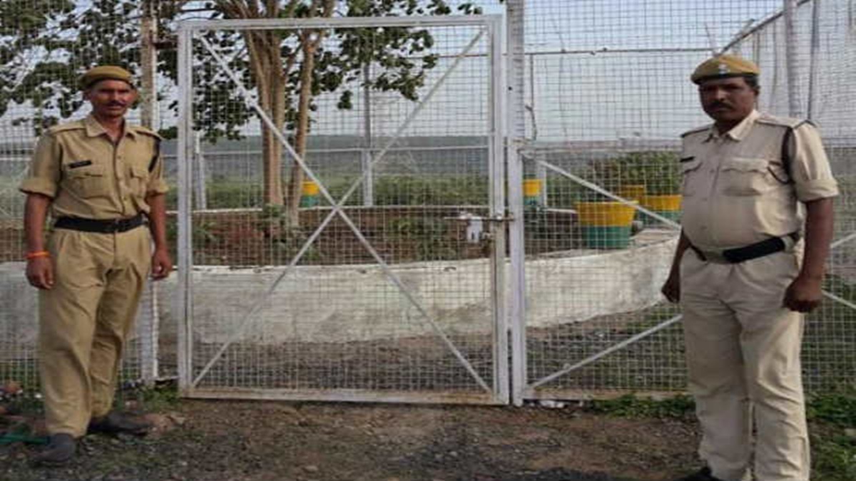 Things to know about VVIP tree in Madhya Pradesh which Spends 12 lakhs ...