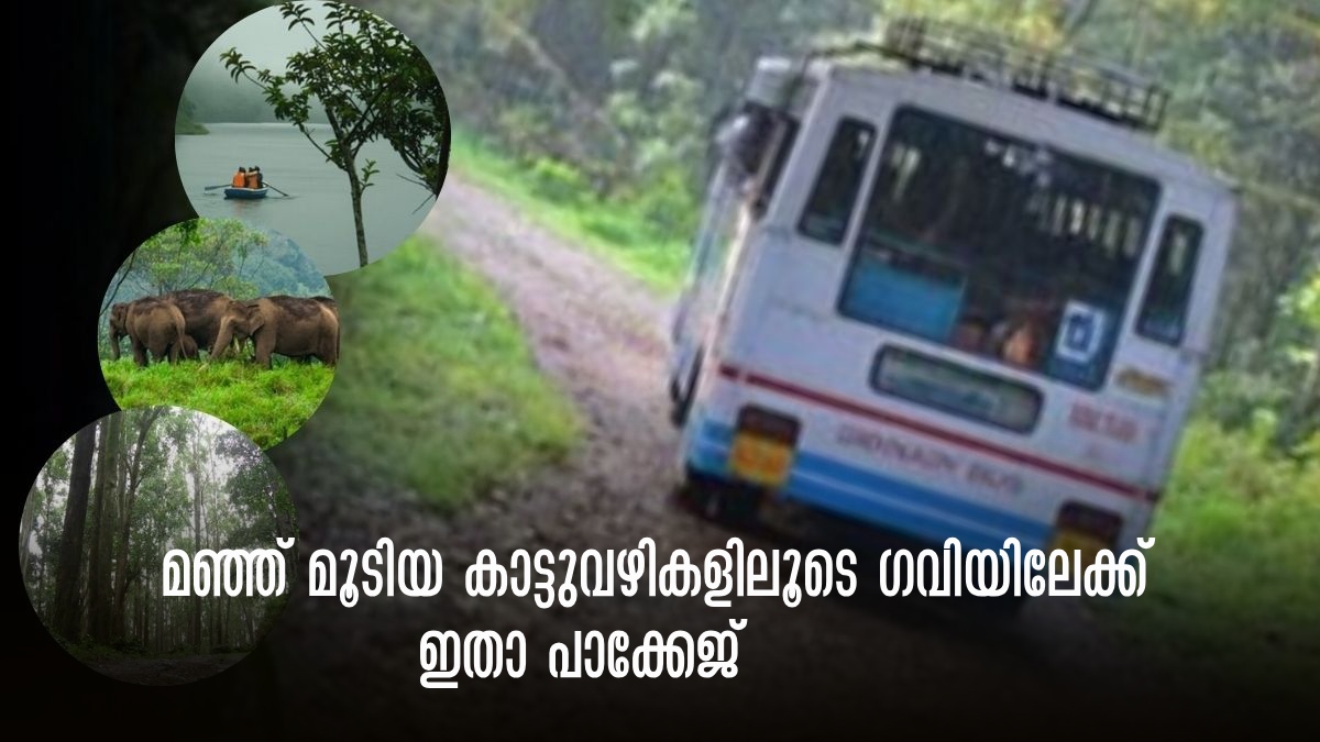 KSRTC One Day Trip To Gavi And Parunthumpara- Route, Rate, Timings And ...