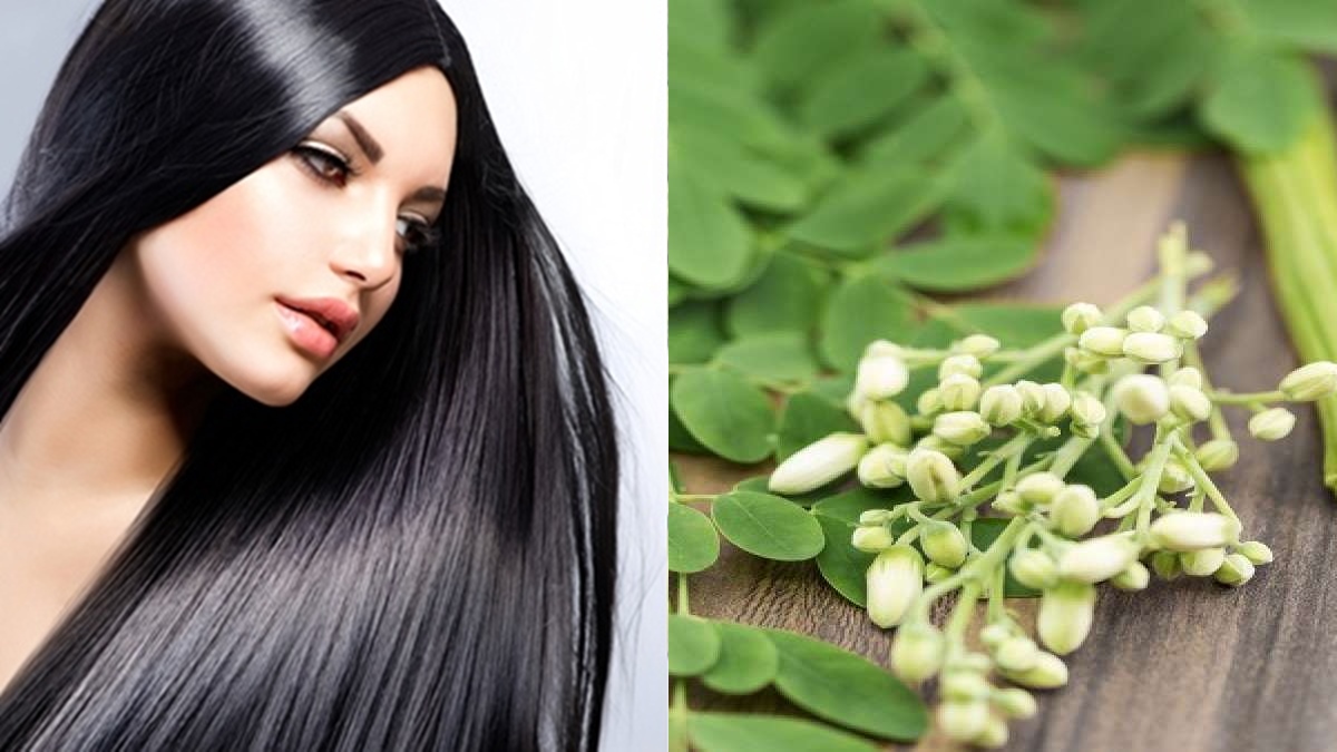 Do You Facing Severe Hair Fall Then Moringa Leveas Will Help You, But ...