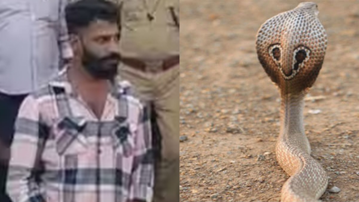 An attempt was made to kill the Man by throwing a snake into the house ...