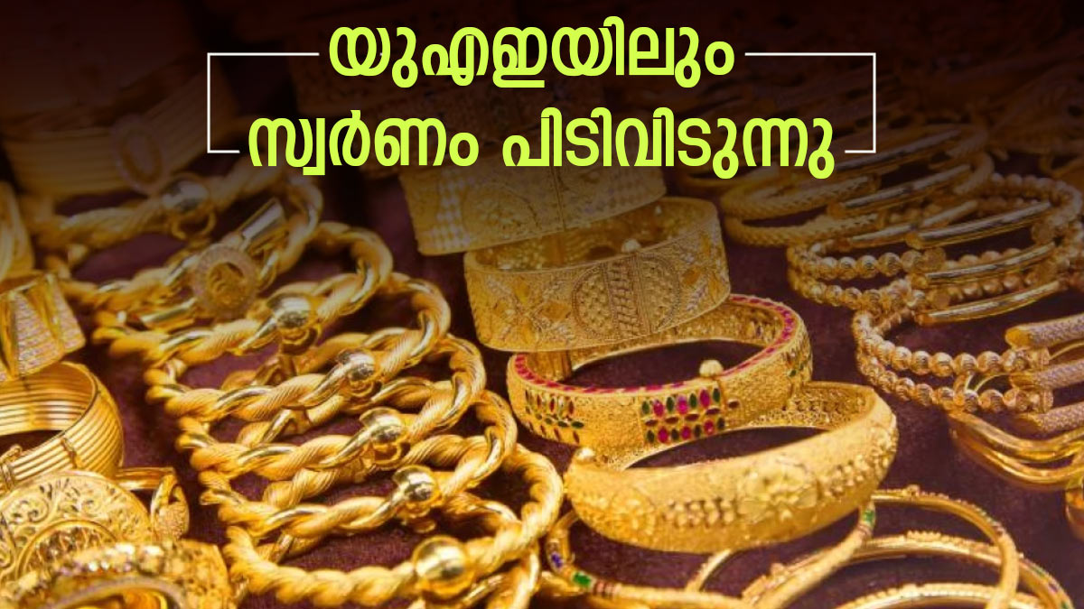 Gold Rate today in UAE: Gold Price Rise Half Dirham Per Gram Like in ...