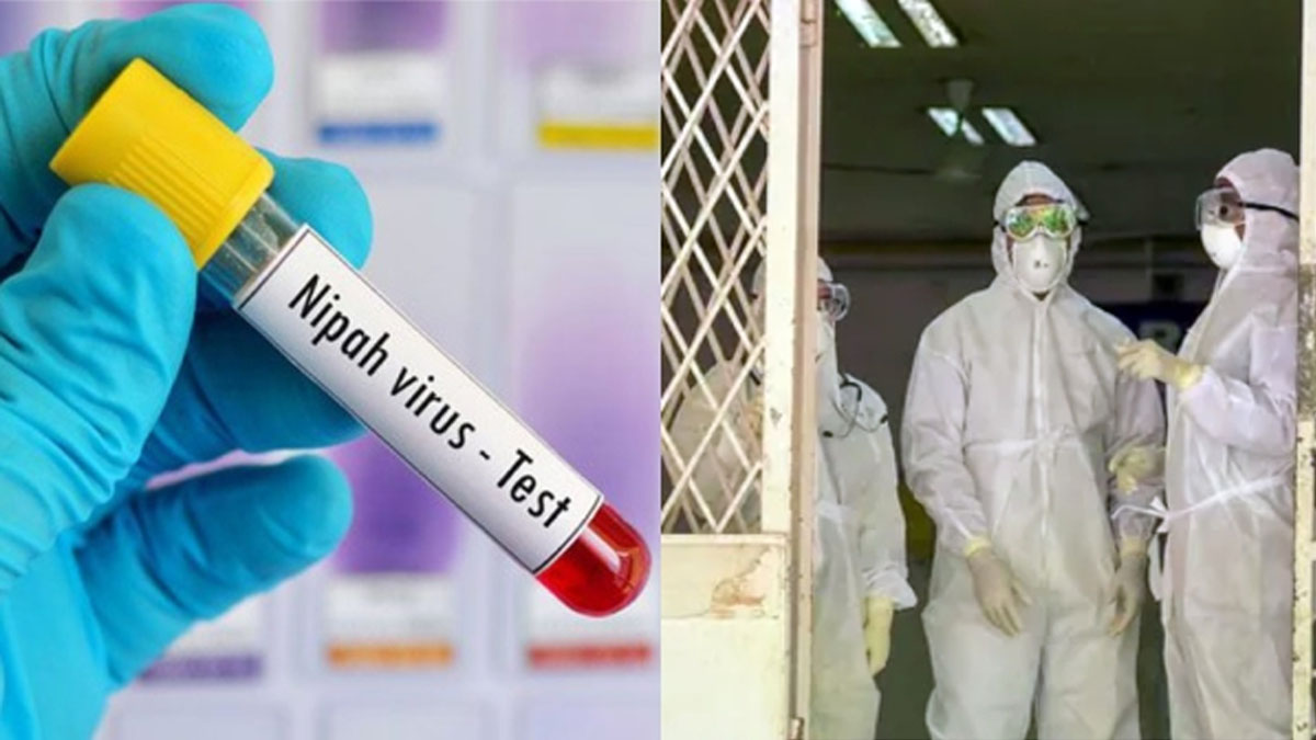 Kozhikode nipah virus: What Are The Benefits Of Nipah Testing Machine ...