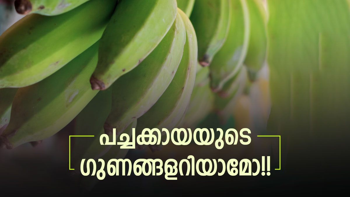 Health Tip: Do You Know The Health Benefits Of Raw Banana, You Will Be Amazed - Malayalam Oneindia