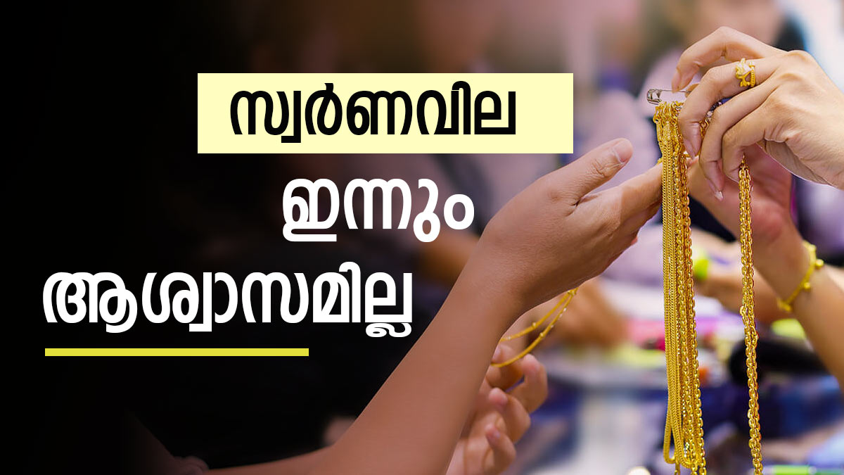 സ്വർണം പവന് എത്ര, ഇന്നത്തെ വില അറിയാം, വില അരലക്ഷം തൊടുമോ?|Kerala Gold ...