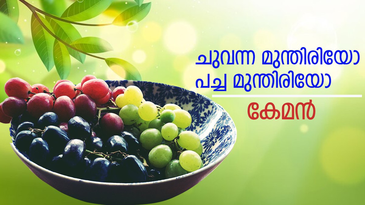 ചുവന്ന മുന്തിരിയോ പച്ച മുന്തിരിയോ കേമന്‍; ഇനി ആ സംശയം വേണ്ട ...