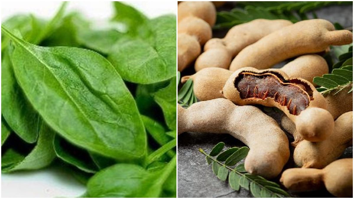 പുളിയിലയും ചീരയും ചില്ലറക്കാരല്ല; ഭക്ഷണത്തിൽ ഉൾപ്പെടുത്തിക്കോളൂ, കാണാം ...