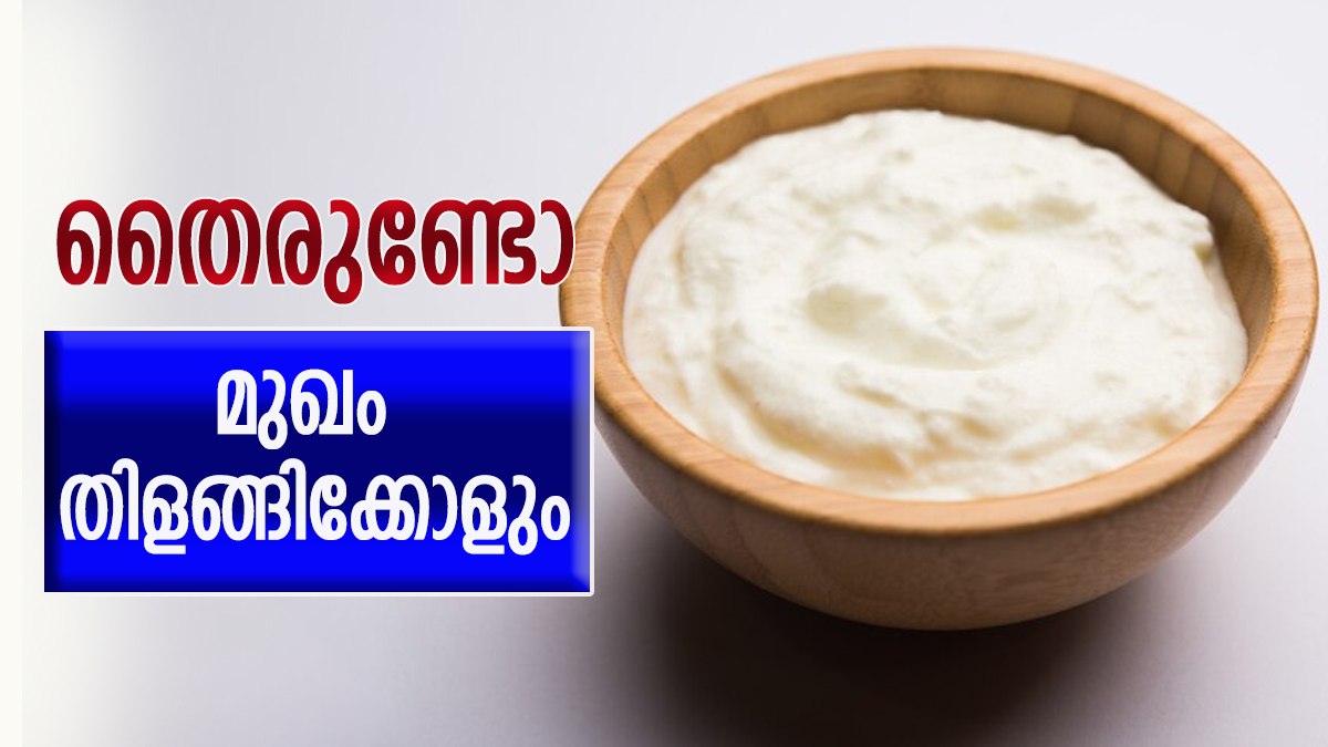 മുഖം തിളങ്ങുക മാത്രമല്ല; തൈരിന്റെ ഈ| 6 ഗുണങ്ങൾ അറിഞ്ഞാൽ ആരും അമ്പരക്കും ...