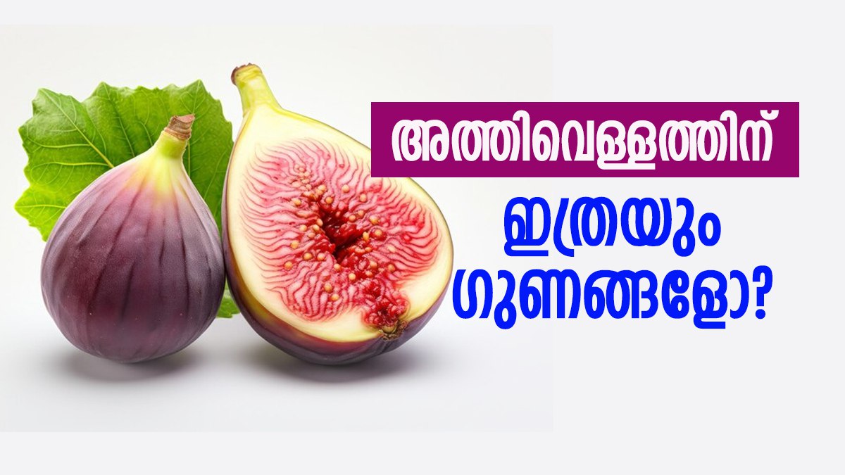 അത്തിപ്പഴമല്ല, രാവിലെ അത്തി വെള്ളം വെറും വയറ്റിൽ കുടിച്ചോളൂ ...