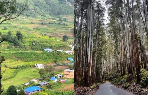 Travel: Vattavada, Escape Winter Blues In Idukki's Hidden Gem, Don't ...