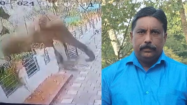 കാട്ടാന ആക്രമണത്തില്‍ കൊല്ലപ്പെട്ട അജീഷിന്റെ കുടുംബത്തിന് ധനസഹായം ...