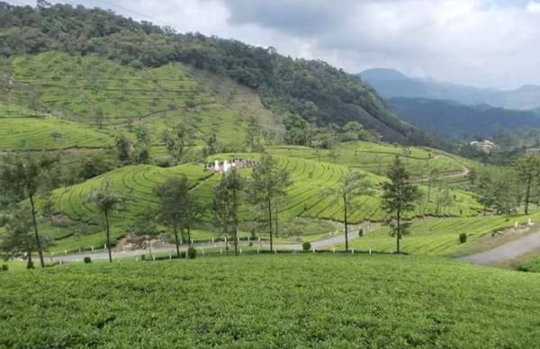 പ്രകൃതി കനിഞ്ഞ ഒരു ടൂറിസം ഗ്രാമം; മാങ്കുളം വ്യത്യസ്‌തമാവുന്നത് ഇങ്ങനെ ...