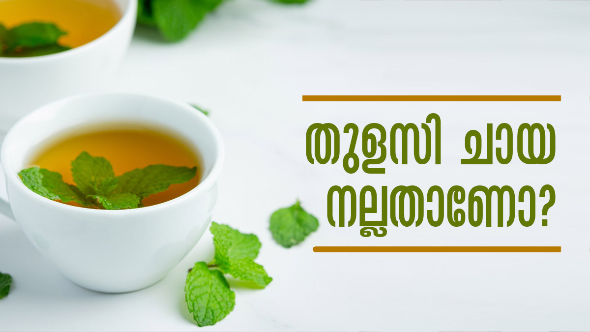രാവിലെ ഒരു ഗ്ലാസ് തുളസി ചായ കുടിച്ച് നോക്കൂ; എല്ലാ പ്രശ്‌നങ്ങള്‍ക്കും ...