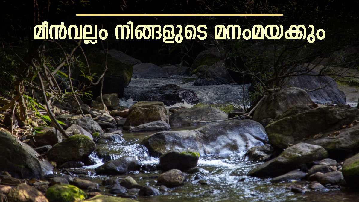 Travel: Meenvallam Waterfalls Palakkad, A Unique Place Where ...
