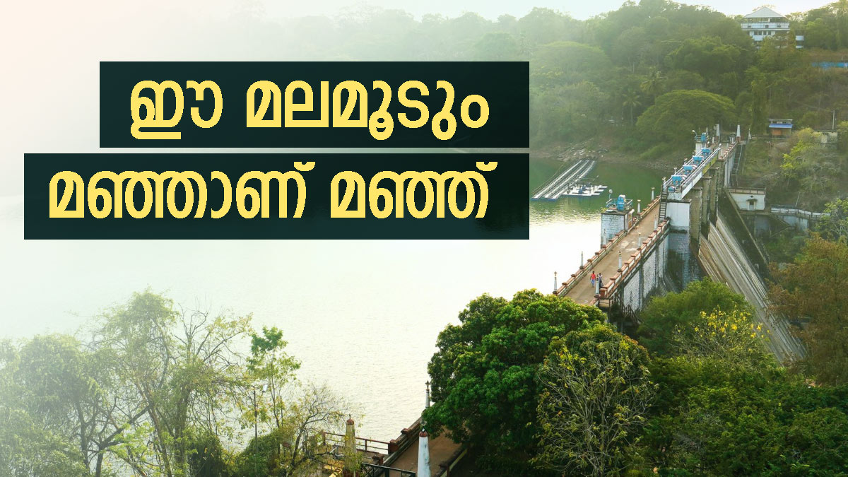 Travel: Peechi-Vazhani Wildlife, Climb Moodalmala And Enjoy The Endless ...
