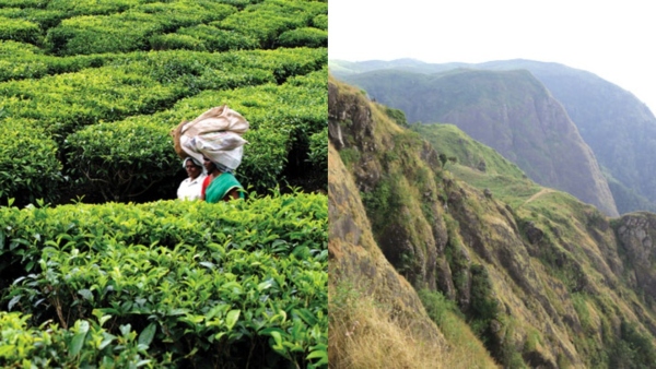 Travel: Peerumedu Idukki, Explore The Soothing And Serene Atmosphere Of ...