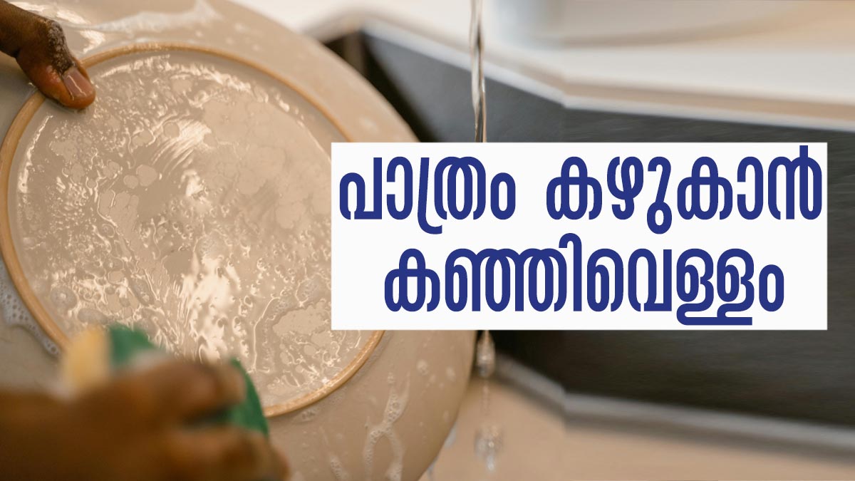 പാത്രം കഴുകുന്ന സോപ്പ് തീര്‍ന്ന് പോയോ? വിഷമിക്കേണ്ട അടുക്കളയിലെ ഈ ...