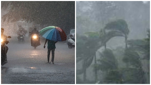 എറണാകുളത്ത് മഴ ശക്തമായി തുടരുന്നു; കൊച്ചി ന ഗരത്തിലെ കനത്ത മഴയ്ക്ക് ...