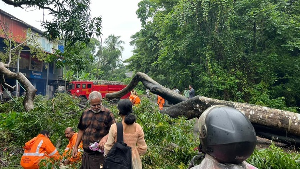 സംസ്ഥാനത്ത് മഴ കുറയില്ല, പുതിയ ന്യൂനമര്‍ദം രൂപപ്പെട്ടേക്കും, 5 ...