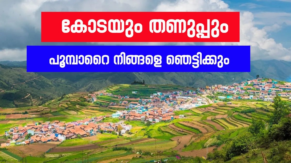 Explore Kodaikanal Hidden Places: Lets Visit Poombarai, Kookal And ...