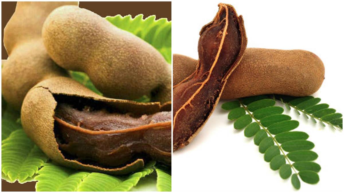 Skin Care Hair Care Tip: Do You Know How To Use Tamarind For Hair ...