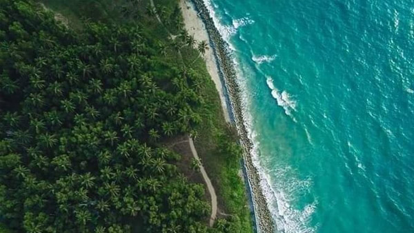 Travel: Kerala's Mini Goa Kolavi Beach Attracts Tourists, Know Exact ...