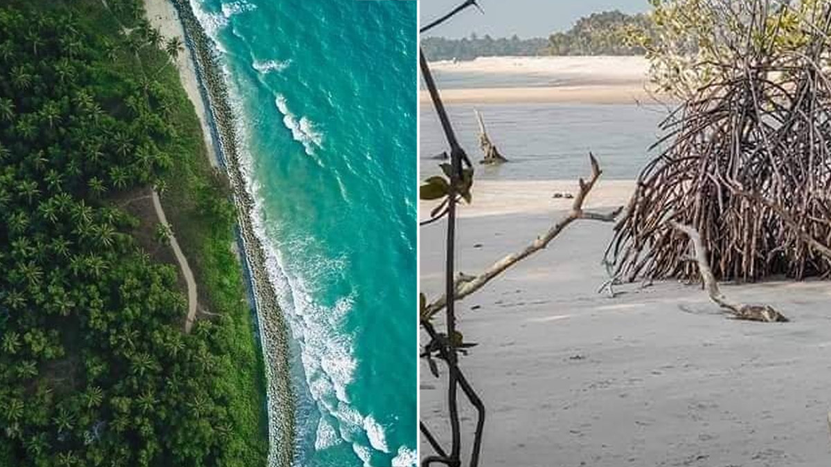Travel: Kerala's Mini Goa Kolavi Beach Attracts Tourists, Know Exact ...